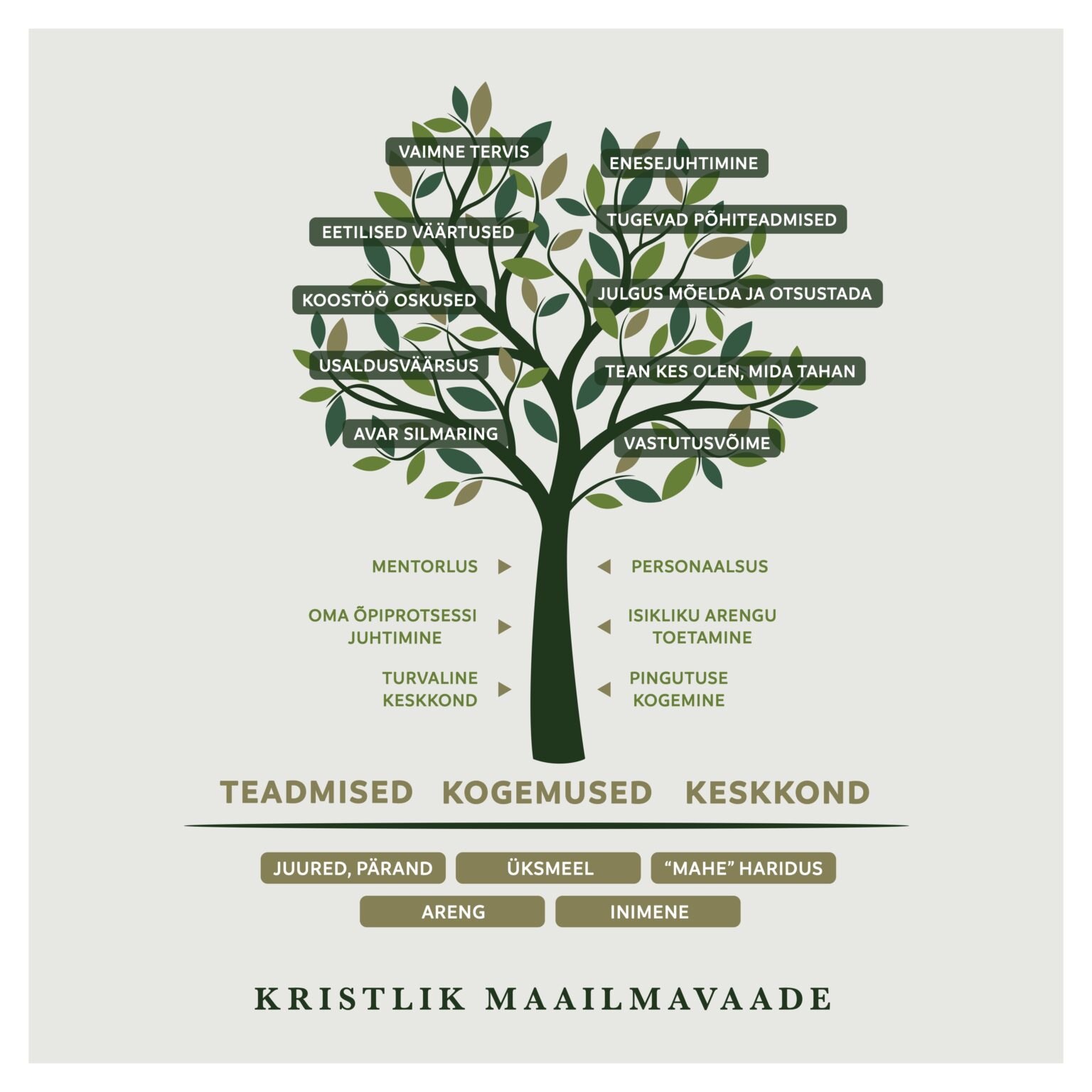 Visioon - Kaarli Kool